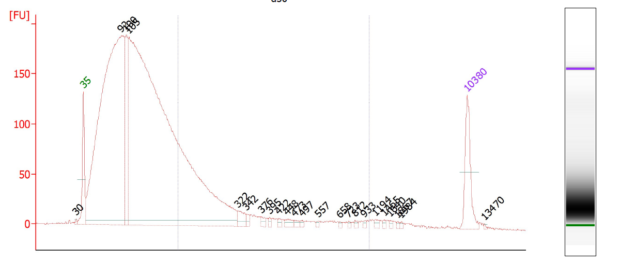 A Starter Chromatin Immunoprecipitation (ChIP) Protocol | What is ...