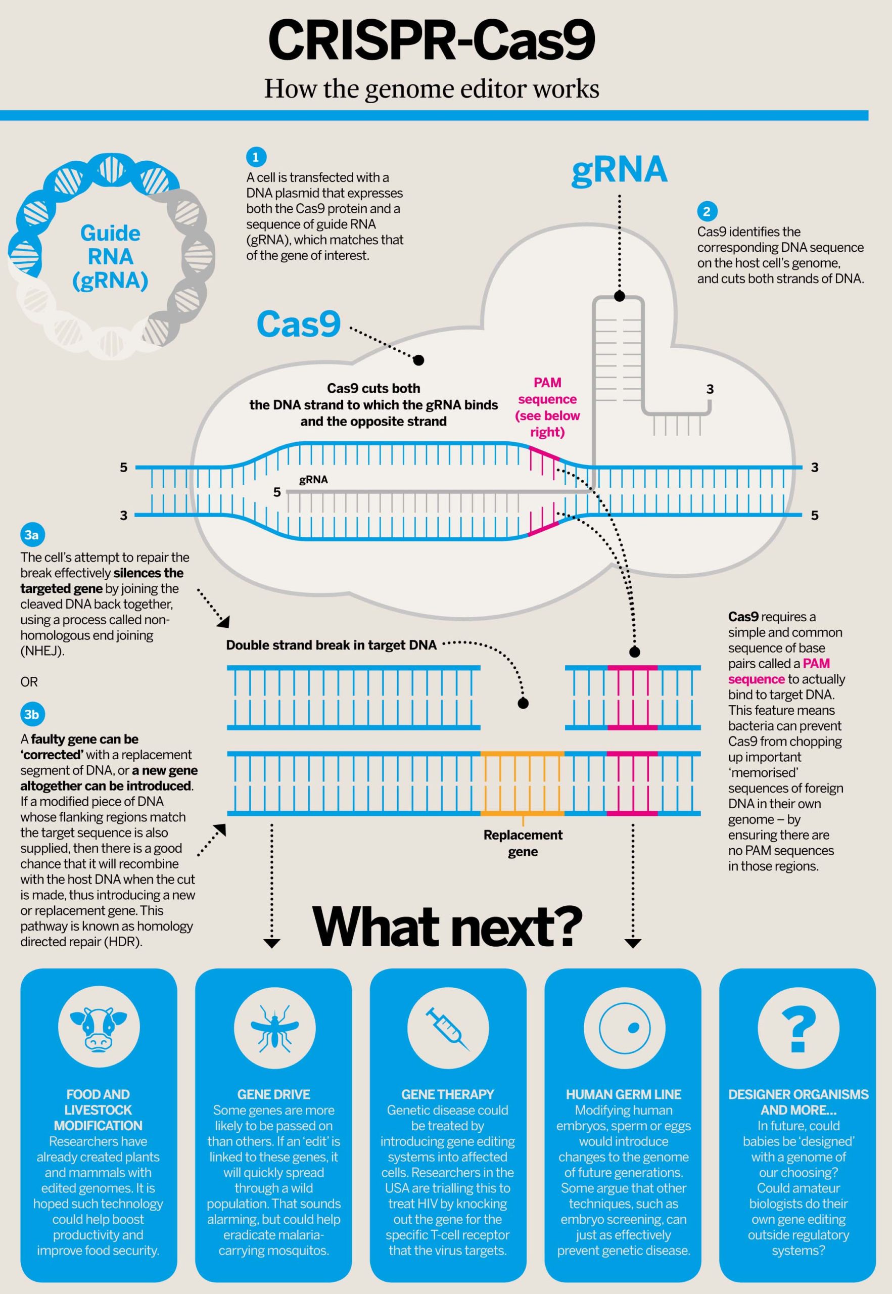 Cut Out The Hype Gene Editing With Crispr And The Truth About