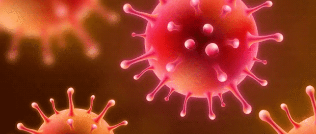 Histone Modifications | What is Epigenetics?